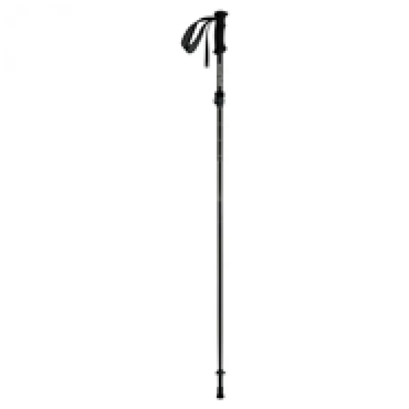 Alpine Folding Pole