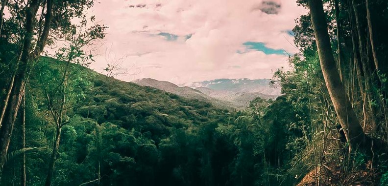 Ideal Hiking Trail in Malaysia